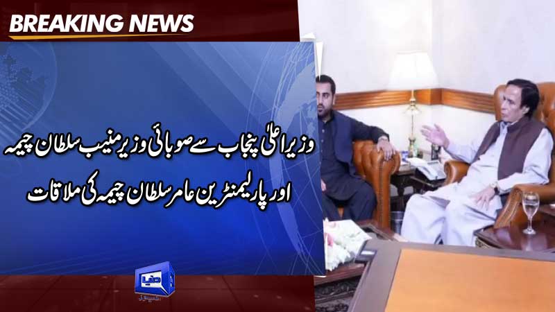 Dunya News: Muneeb Sultan Cheema and Amir Sultan Cheema meets CM Punjab.