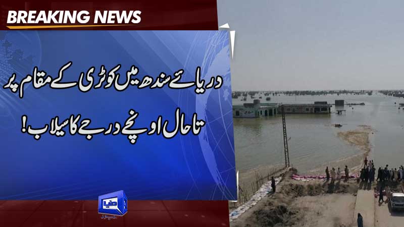 Imran Khan calls for 'merit-based selection' after Pakistan's Asia Cup ...