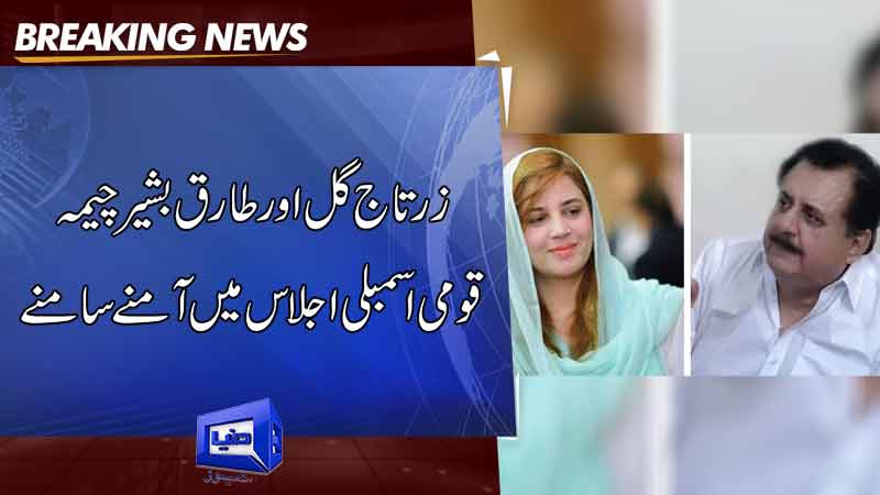 Dunya News: Fight between Zartaj Gul and Tariq Bashir Cheema.