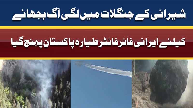 Dunya News: Iranian firefighter arrives in Pakistan to extinguish a ...