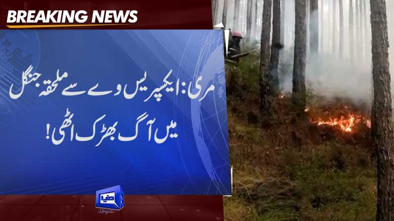 Dunya News: Murree: Fire breaks out in forest adjacent to expressway
