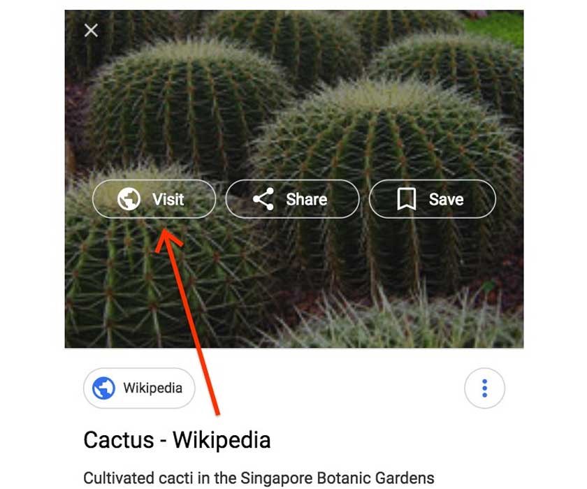 Google removes 'View Image' button from images portal - Technology ...