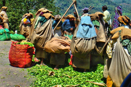 Workers lynch tea garden owner in India: police