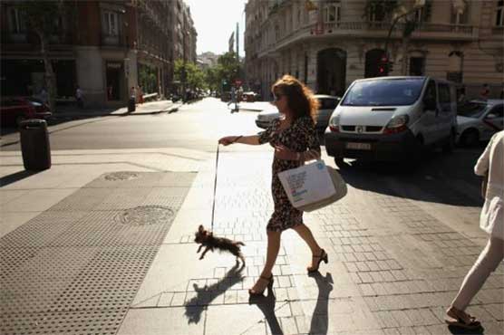Dog poop culprits may have to clean streets, says Madrid mayor ...