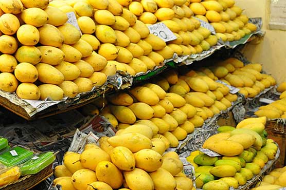 1.7 mln tonnes mango production expected this year - Business - Dunya News