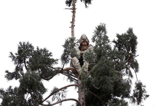 Man finally descends Seattle tree, ending 25-hour drama - WeirdNews ...