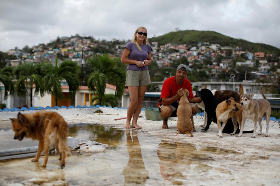 Couple defy Hurricane Maria on roof to save pets - lots of them - World ...