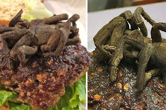 Burger joint adds tarantulas as topping and people queuing up to try ...