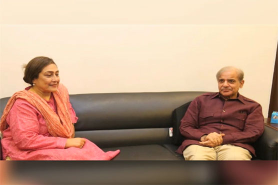 Independent MPA-elect from Okara meets Shahbaz Sharif - Pakistan ...