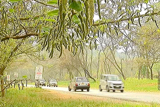 Spring in Islamabad not only brings colour but also allergies ...