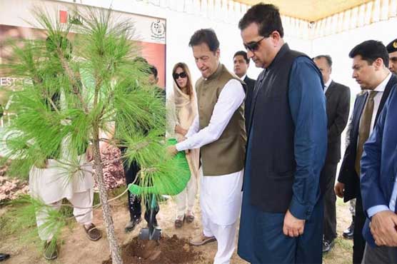 PM Imran announces to plant ten billion trees across country in five ...
