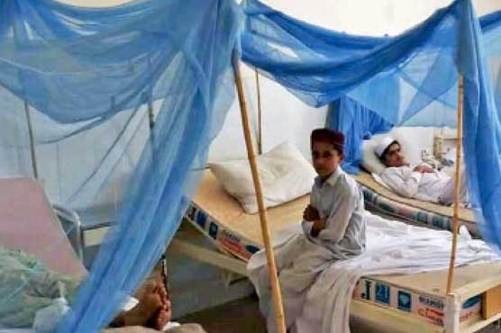 Govt decides to end indoor services in DFH from Nov 16 - Health - Dunya ...