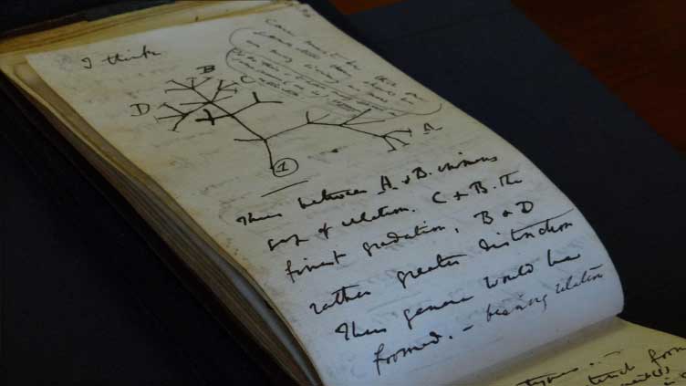 Darwin notebooks missing for 20 years returned to Cambridge - World ...