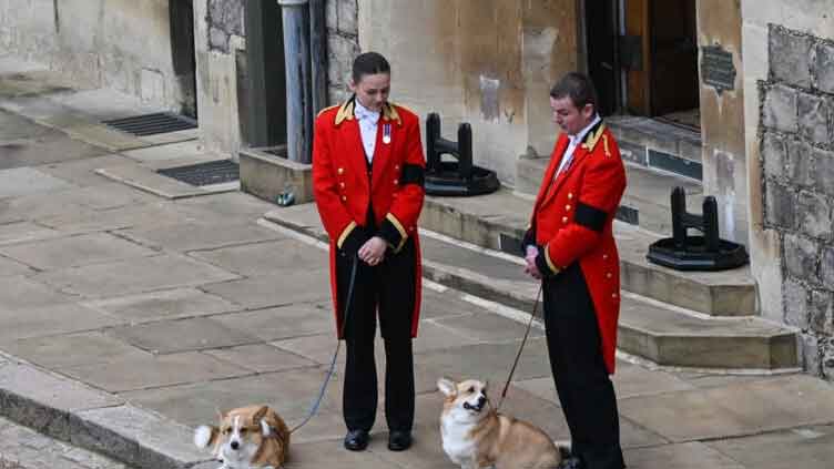 Queen's corgis take centre stage at London exhibition - Entertainment ...