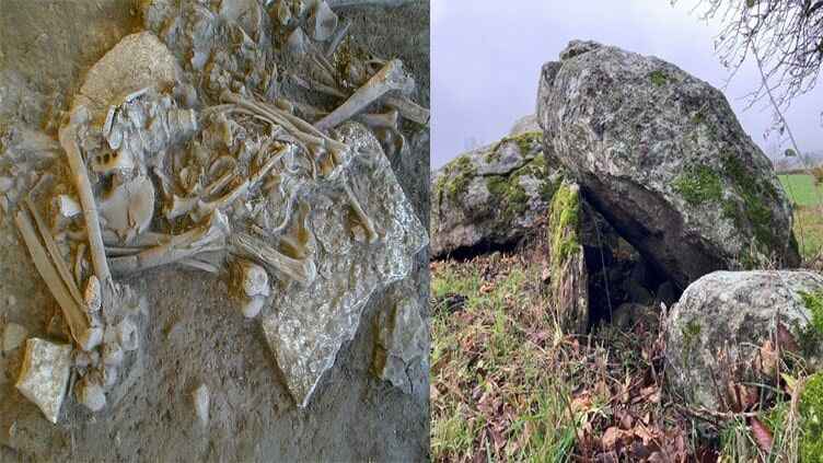 Study reveals reason of northern Europe population collapse - WeirdNews ...